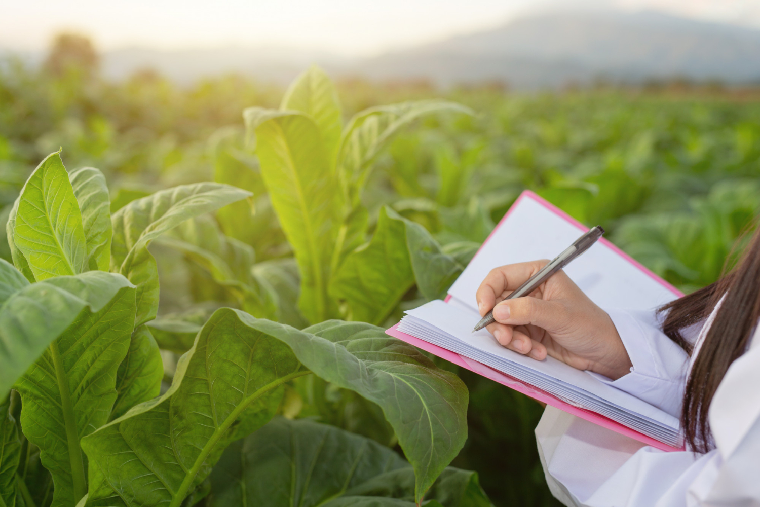 Educating Farmers - Nurasoi